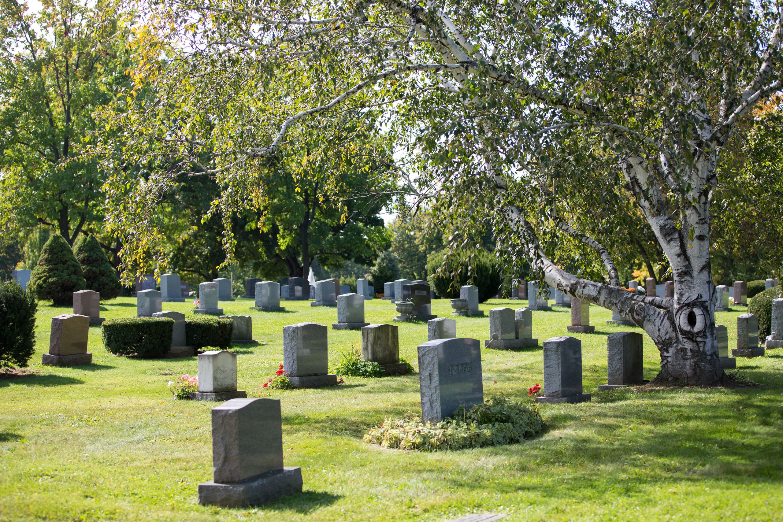The Costs of Funeral Plans and Cemetery Arrangements and How to Manage ...