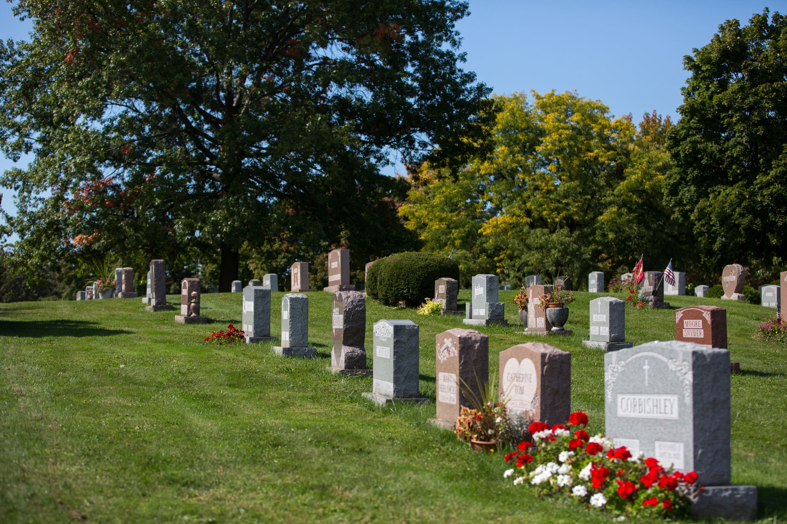 Interactive Lot Selector | Woodlawn Cemetery